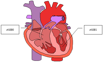 ICF illusration library
